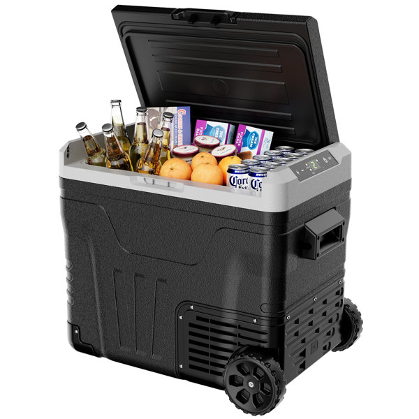 Simzlife Réfrigérateur portatif Simvie 12 volts - Wayfair Canada